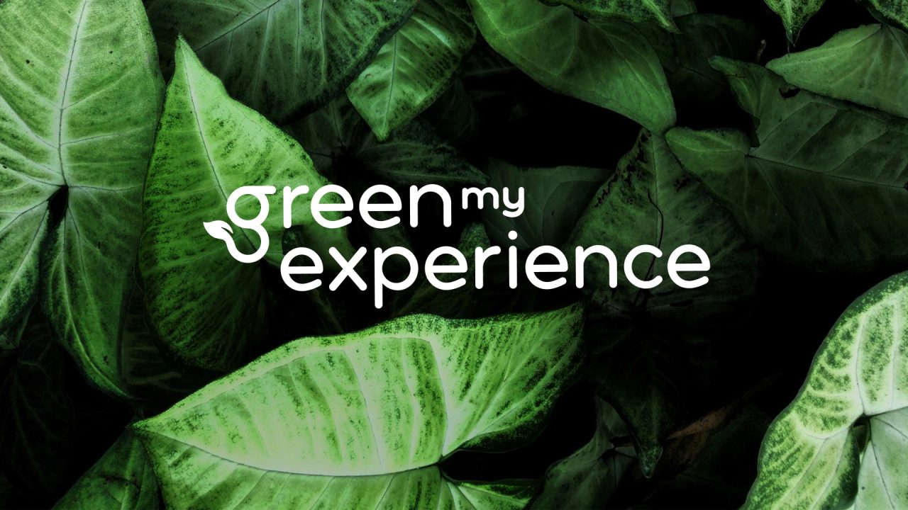 Welcome to Green My Experience: Where Sustainability Meets Innovation ...